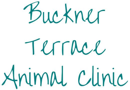 Buckner Terrace Animal Clinic - Dallas, TX