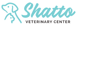 Shatto Veterinary Center - Los Angeles, CA