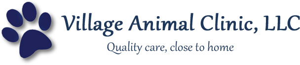 Top Veterinarians in Columbus, OH